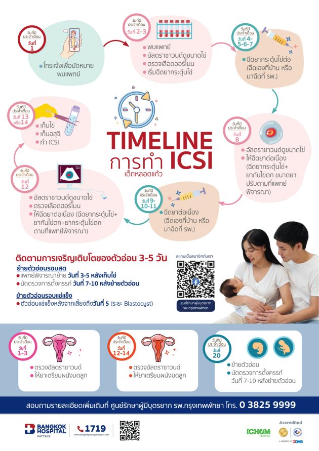 ขั้นตอนการทำเด็กหลอดแก้ว (Timeline ICSI) - Bangkok Hospital Pattaya